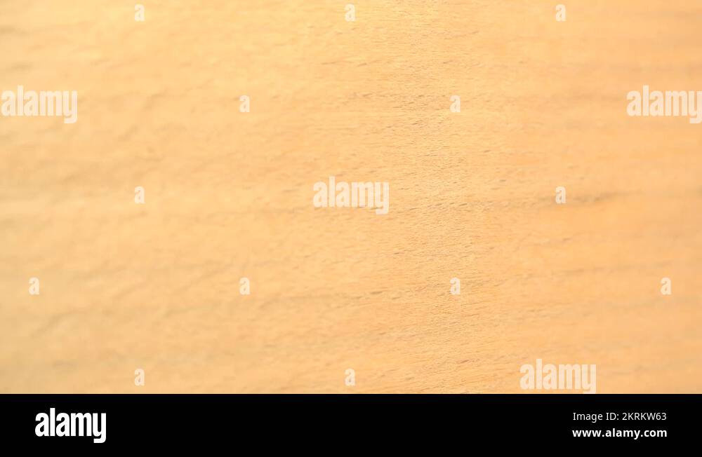 Beech wood grain Stock Videos & Footage - HD and 4K Video Clips - Alamy