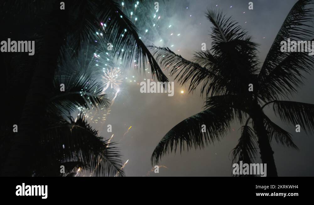Brilliant Hawaii Firework Display Through Palm Trees In UHD Red Scarlet ...