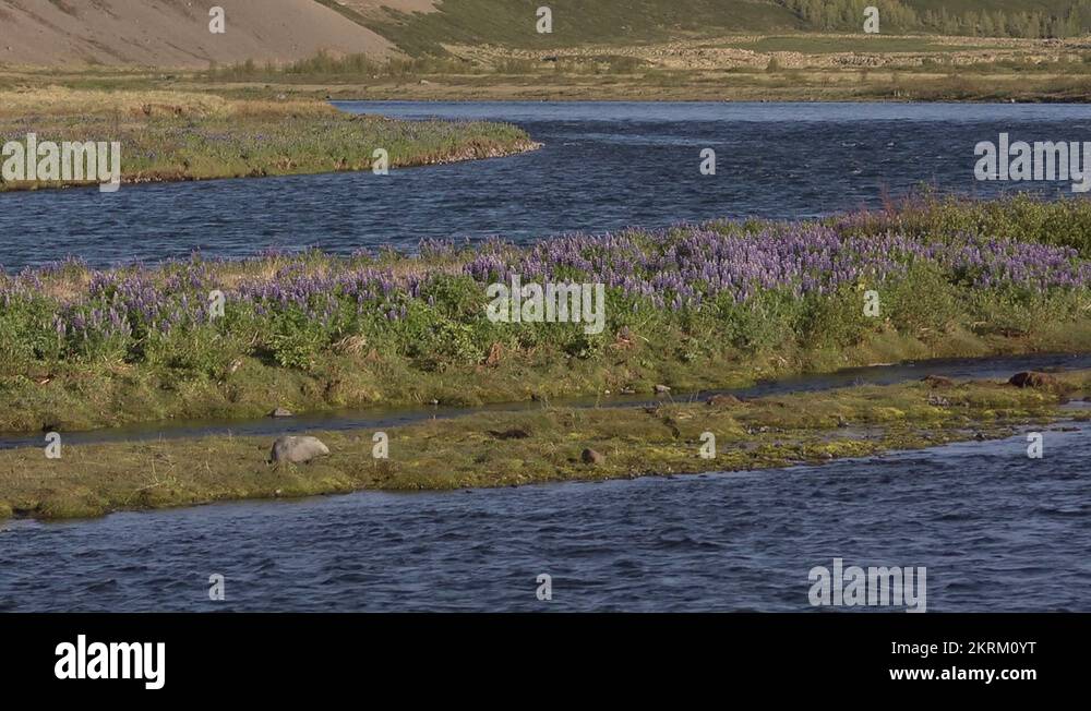 Ls island Stock Videos & Footage - HD and 4K Video Clips - Alamy