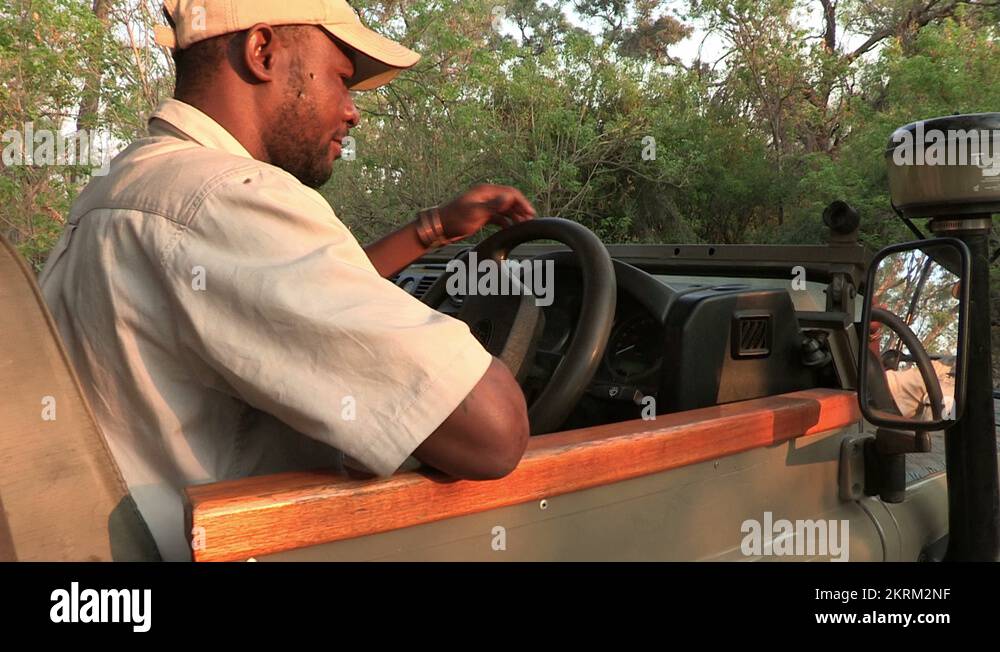 Young couple on game drive vehicle on safari in Botswana,Africa Stock ...