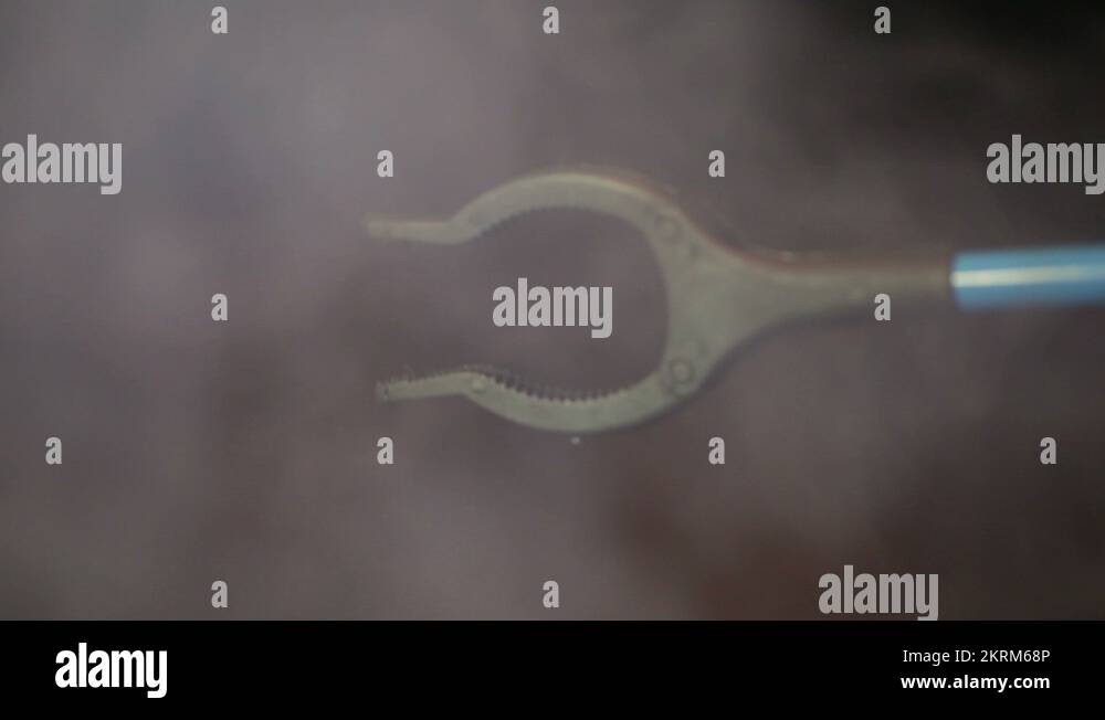 Claw arms Stock Videos & Footage - HD and 4K Video Clips - Alamy