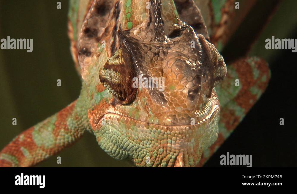 Glancing Stock Videos & Footage - HD and 4K Video Clips - Alamy