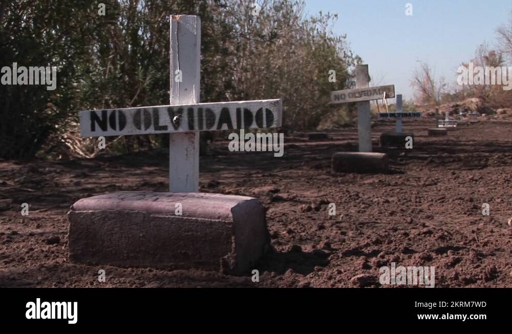Graves are marked with signs stating they are not forgotten Stock Video ...