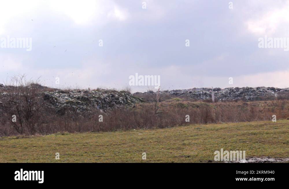 Garbage recycling landfill Stock Videos & Footage - HD and 4K Video ...