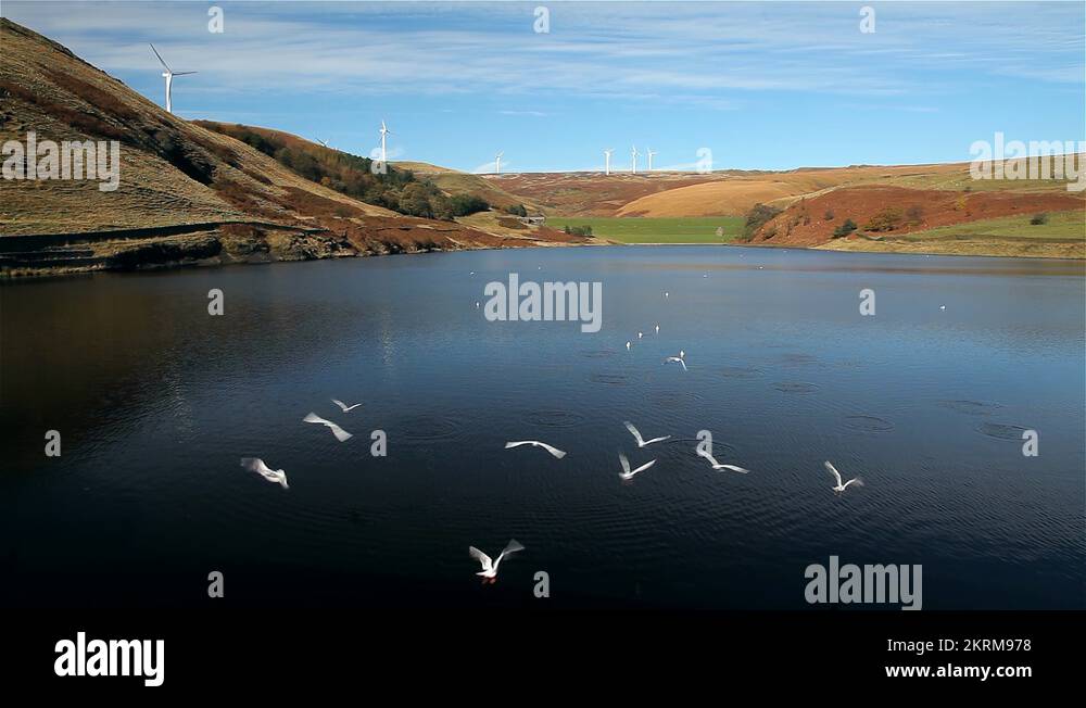 Lower reservoir Stock Videos & Footage - HD and 4K Video Clips - Alamy