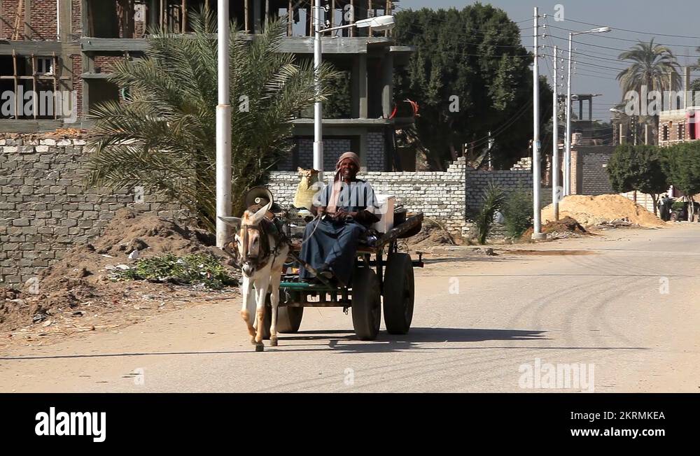 Egyptian on donkey Stock Videos & Footage - HD and 4K Video Clips - Alamy
