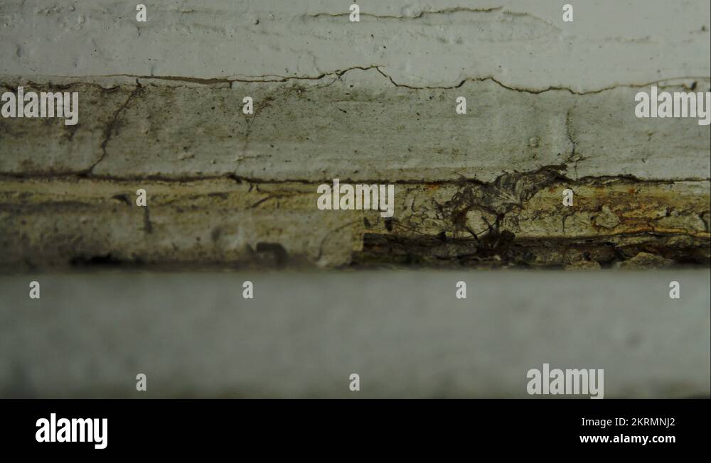 Rusty dust texture Stock Videos & Footage - HD and 4K Video Clips - Alamy