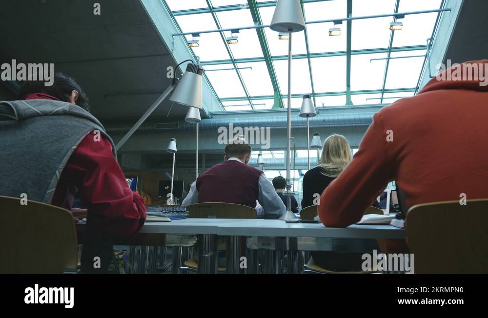 Study in the library Stock Videos & Footage - HD and 4K Video Clips - Alamy