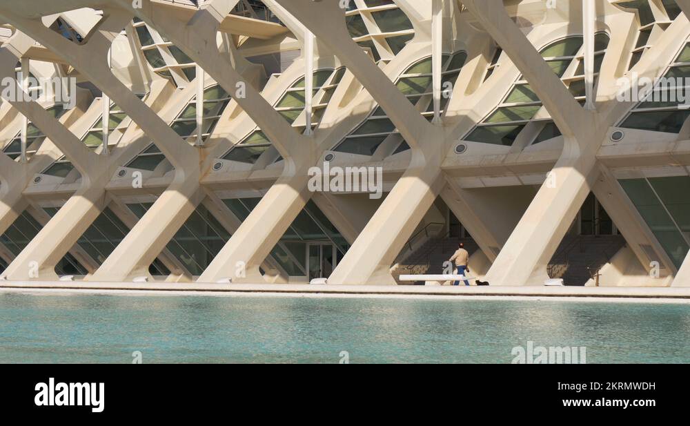 prince felipe museum of science day light close up 4k valencia spain ...
