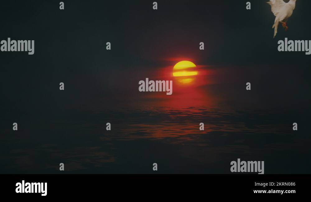 White dove flying over water Stock Videos & Footage - HD and 4K Video ...