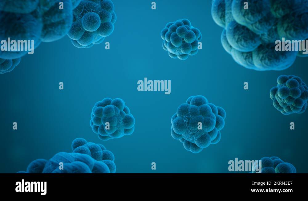 Bacteria cell anatomy Stock Videos & Footage - HD and 4K Video Clips ...