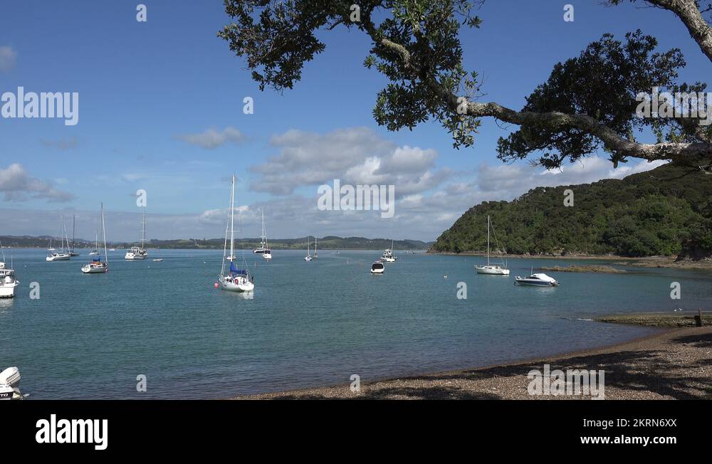 Russell bay islands new zealand Stock Videos & Footage - HD and 4K ...