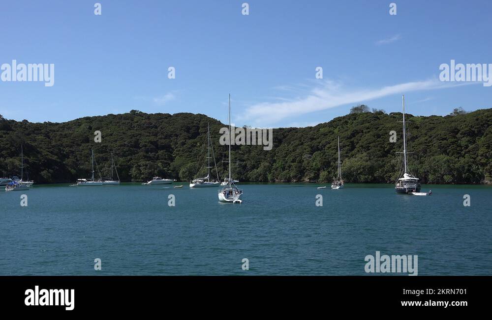 Anchor island new zealand Stock Videos & Footage - HD and 4K Video ...
