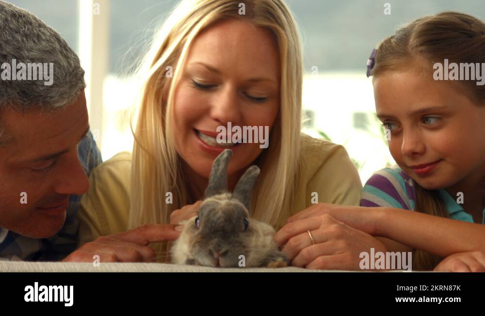 Happy family with pet Stock Videos & Footage - HD and 4K Video Clips ...