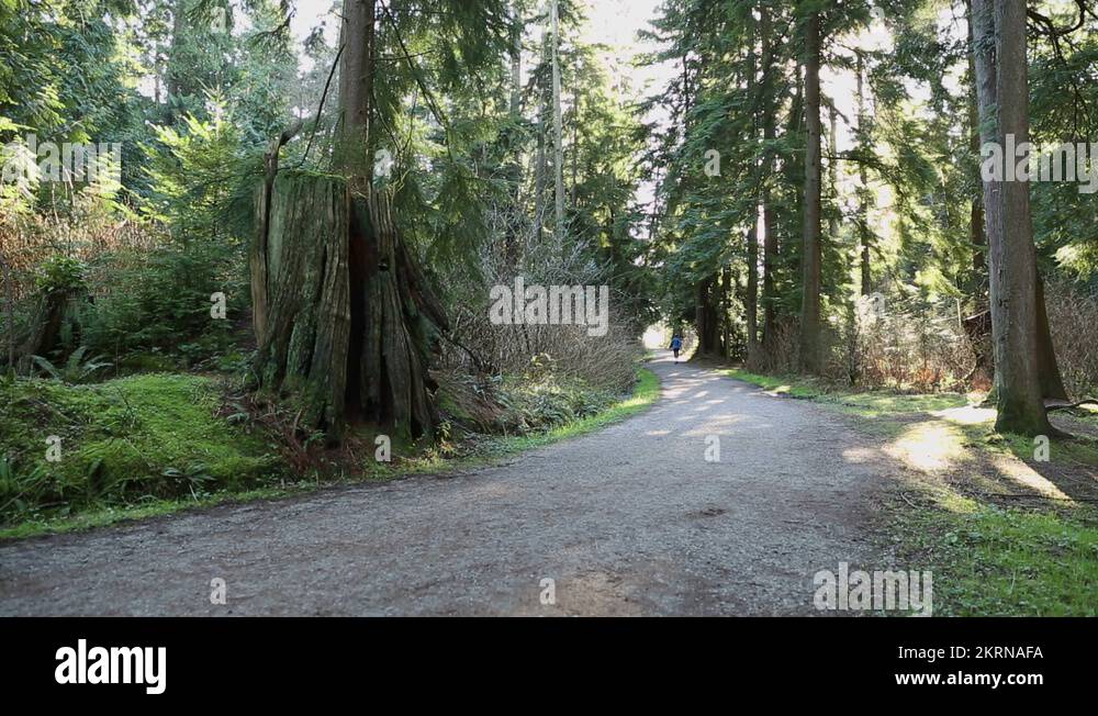 Stanley park path Stock Videos & Footage - HD and 4K Video Clips - Alamy