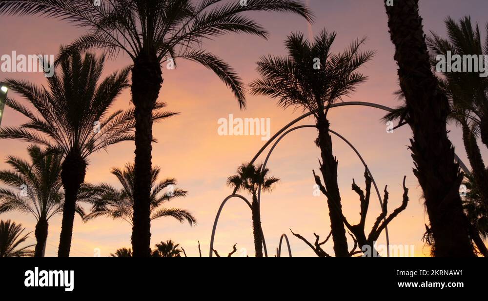 Palm tree metal sculpture Stock Videos & Footage - HD and 4K Video ...
