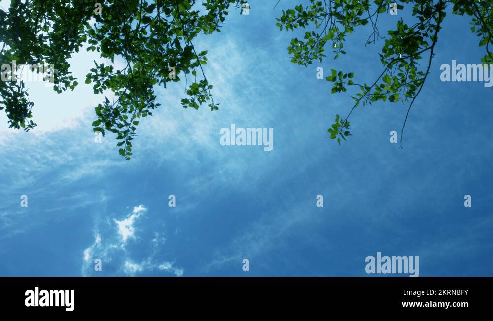 High format Stock Videos & Footage - HD and 4K Video Clips - Alamy