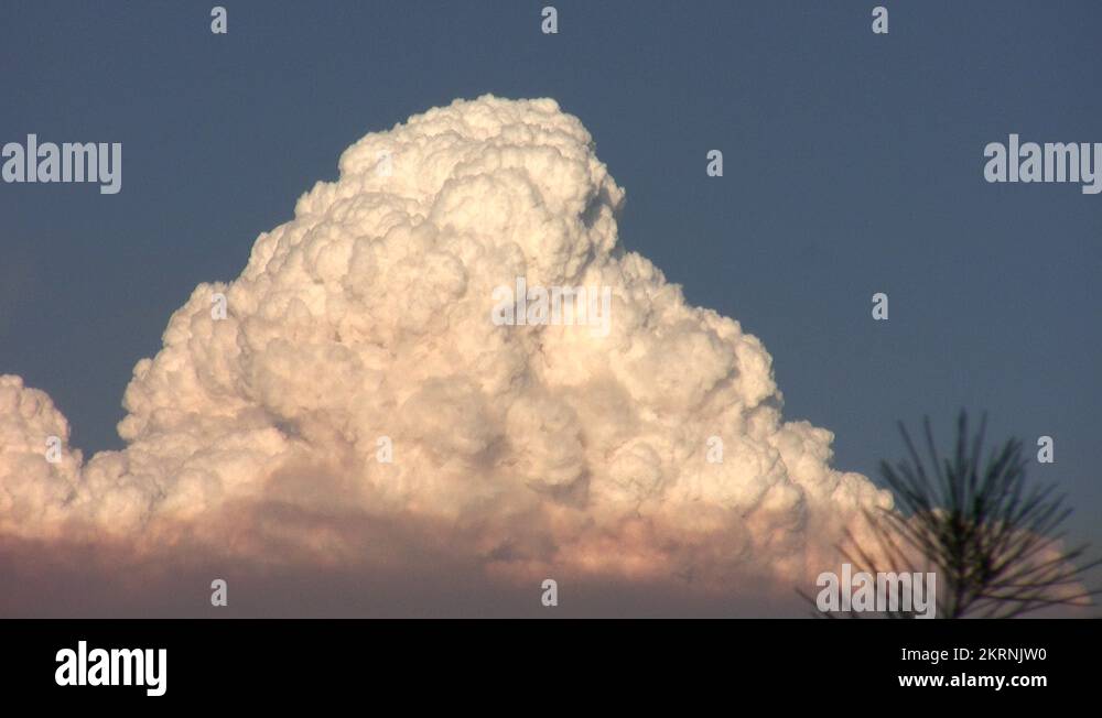 Station Fire realtime zoomed billowing pyro-cumulus cloud HD Stock ...