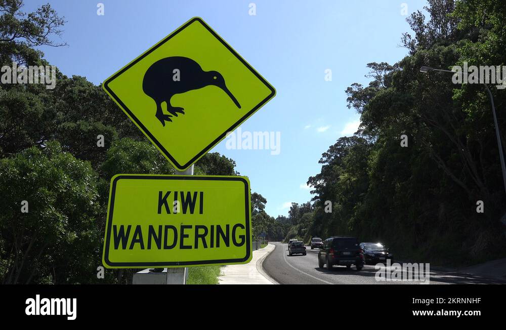 Kiwi warning sign new zealand Stock Videos & Footage - HD and 4K Video ...