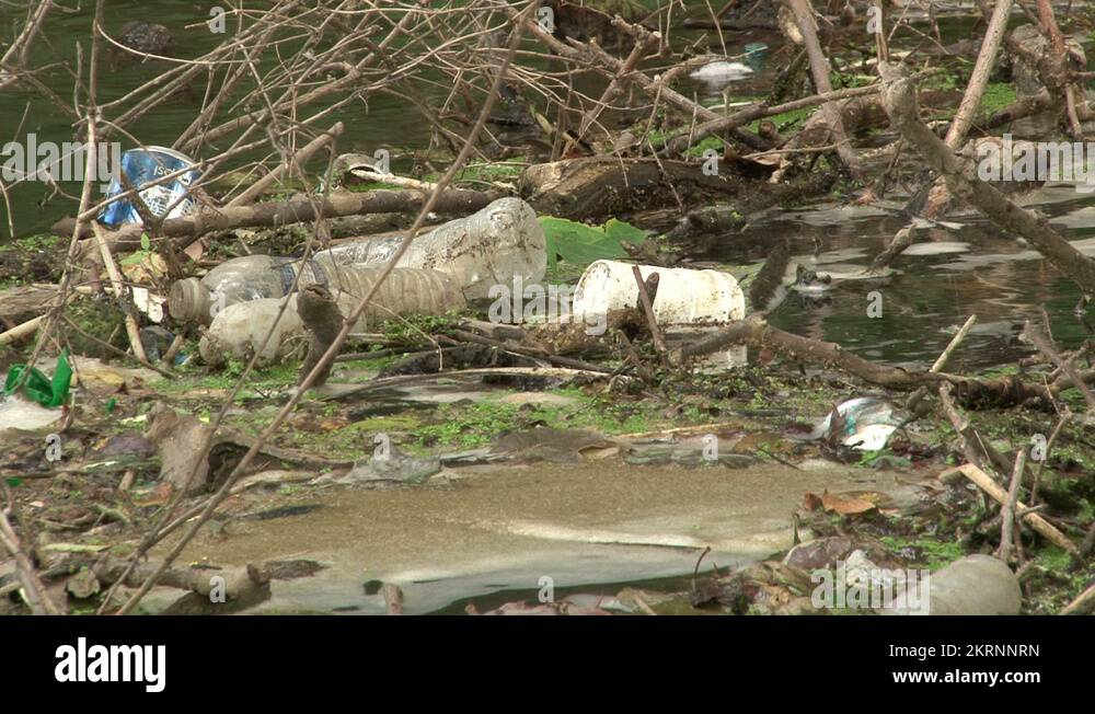 Litter in water Stock Videos & Footage - HD and 4K Video Clips - Alamy
