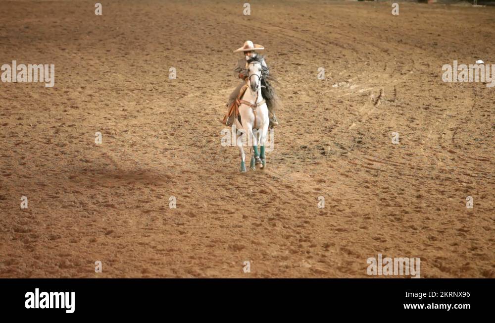 Cowboy horse history Stock Videos & Footage - HD and 4K Video Clips - Alamy