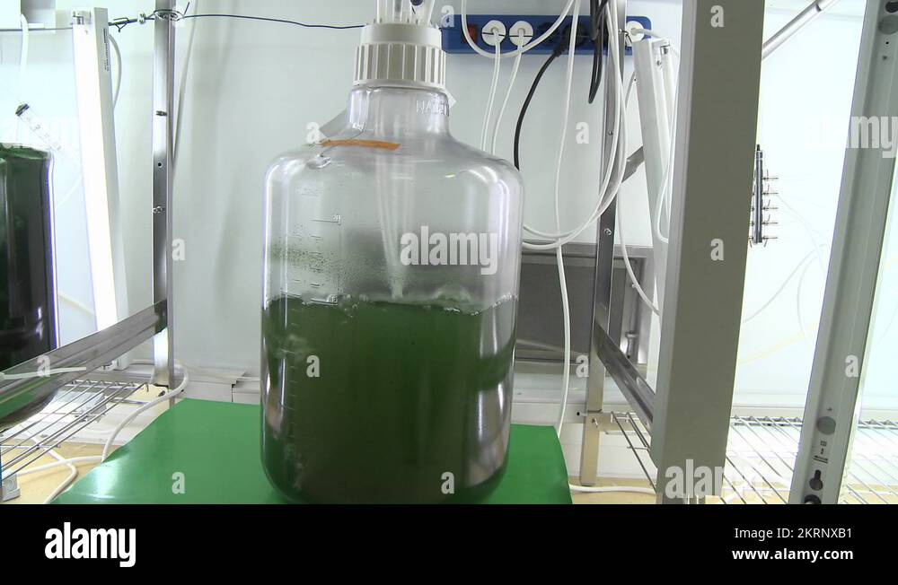 Test photo bio reaction Stock Videos & Footage - HD and 4K Video Clips ...