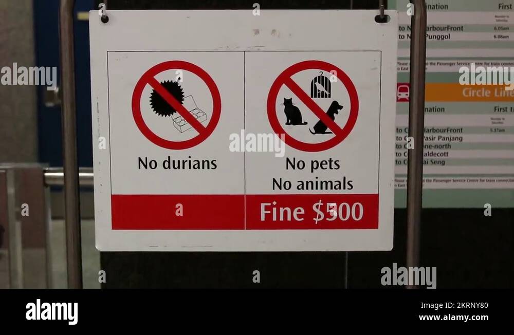 Mrt singapore sign Stock Videos & Footage - HD and 4K Video Clips - Alamy