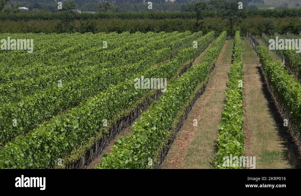 Esk valley new zealand Stock Videos & Footage - HD and 4K Video Clips ...