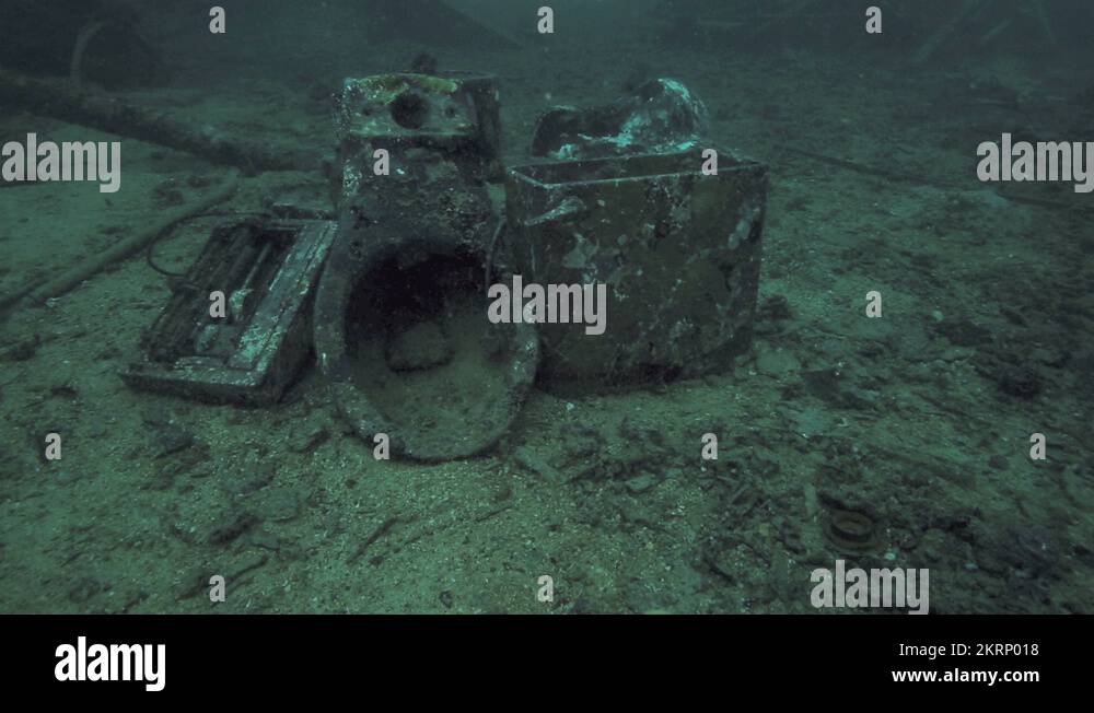 Coral reef fish bowl Stock Videos & Footage - HD and 4K Video Clips - Alamy