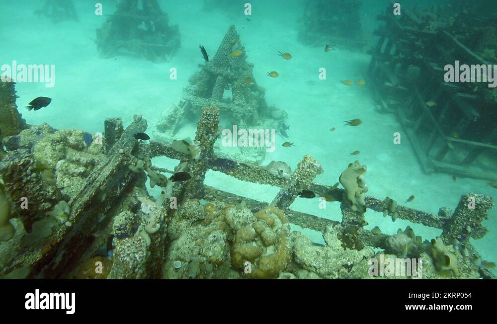 Underwater structures Stock Videos & Footage - HD and 4K Video Clips ...