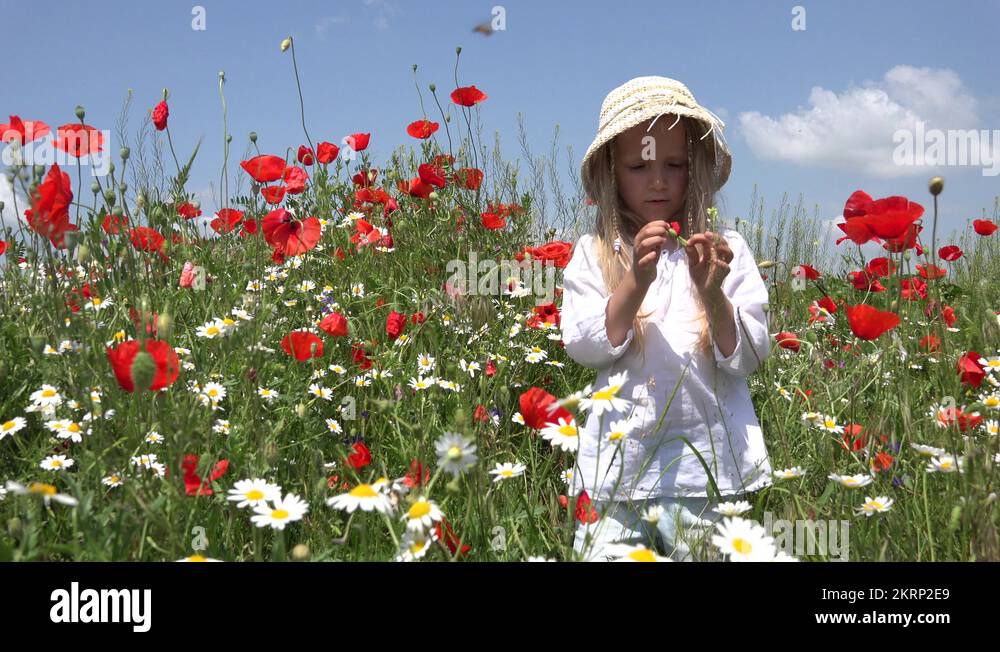 4K Happy Little Girl Walking Poppy Flowers Field Playing Children ...