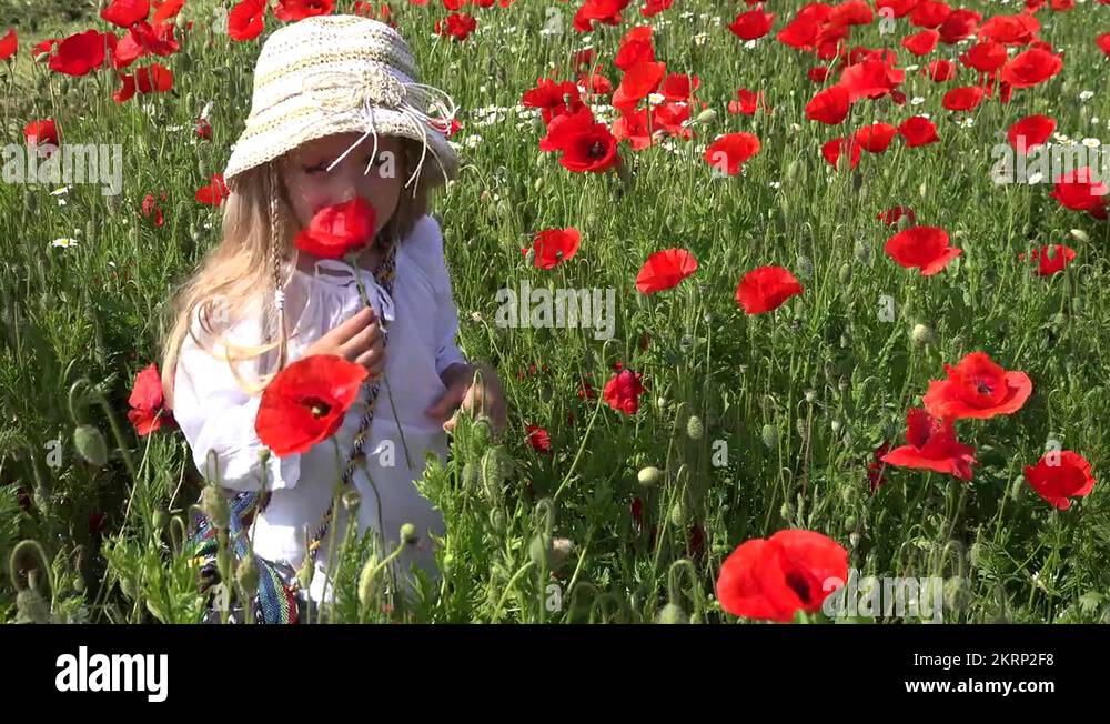 4K Happy Little Girl Walking Poppy Flowers Field Playing Children ...
