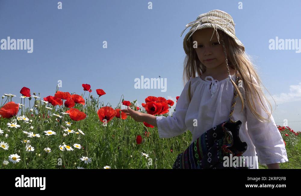 4K Happy Little Girl Walking Poppy Flowers Field Playing Children ...