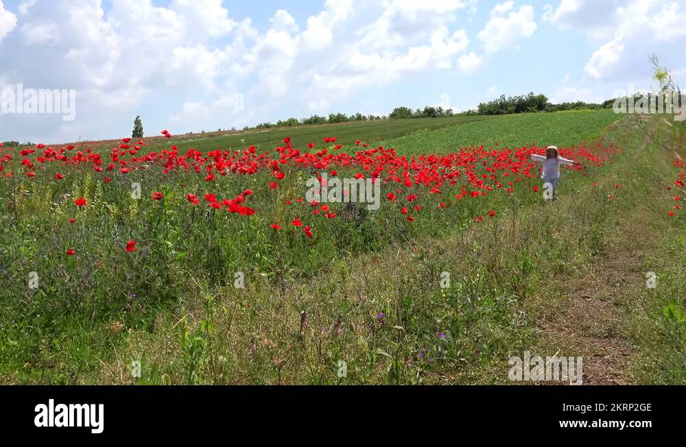 4K Happy Little Girl Walking Poppy Flowers Field Playing Children ...