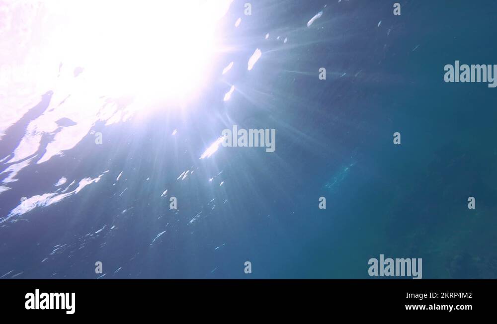 Real underwater ocean rays in 4K. (non-CG Stock Video Footage - Alamy