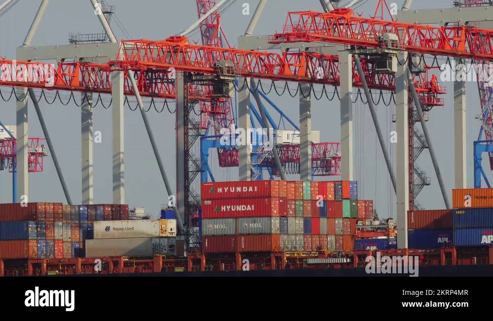 Gantry cranes working in container terminal, lifting containers from ...
