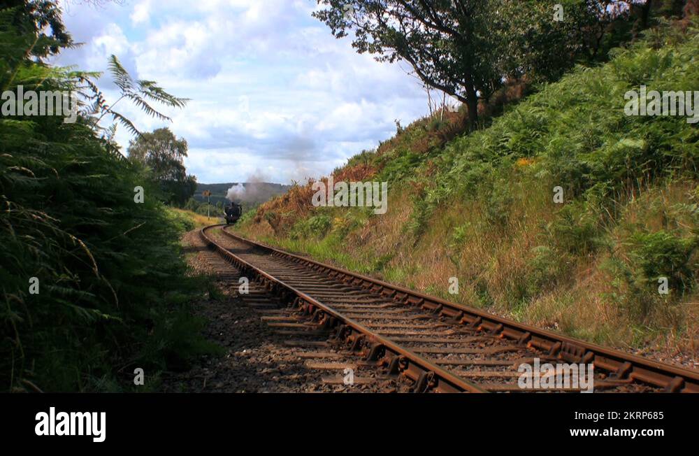 Train entering tunnel Stock Videos & Footage - HD and 4K Video Clips ...