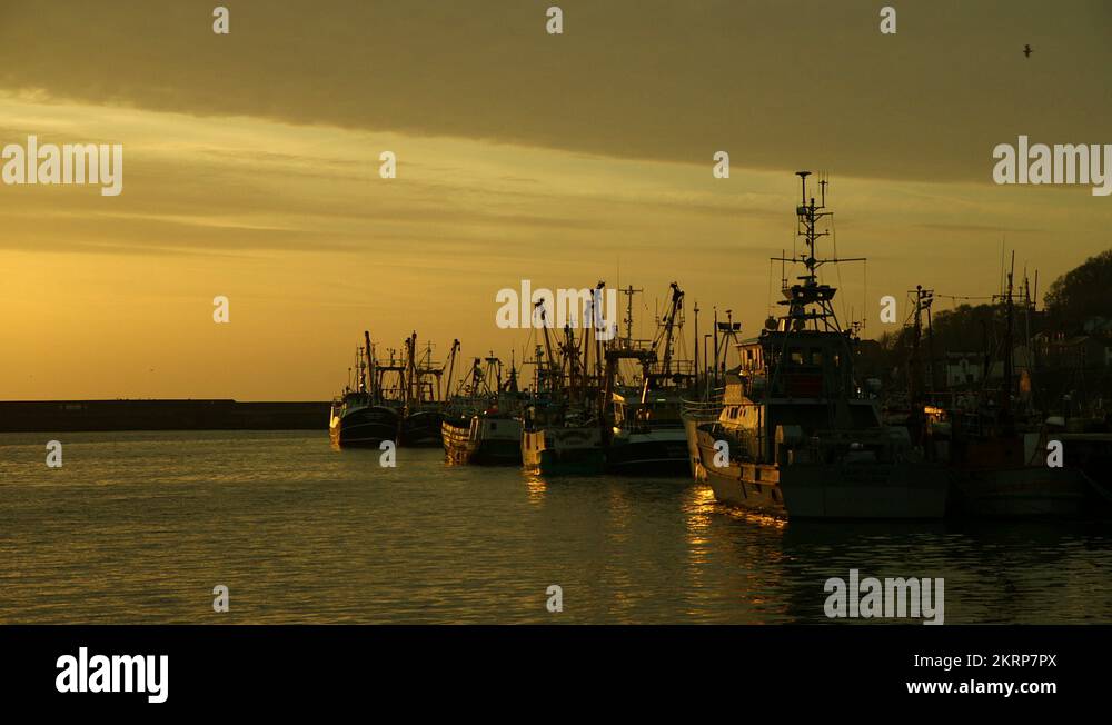 Fishing harbour sunset Stock Videos & Footage - HD and 4K Video Clips ...