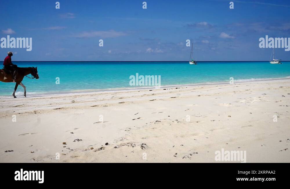 Caribbean horseback riding Stock Videos & Footage - HD and 4K Video ...