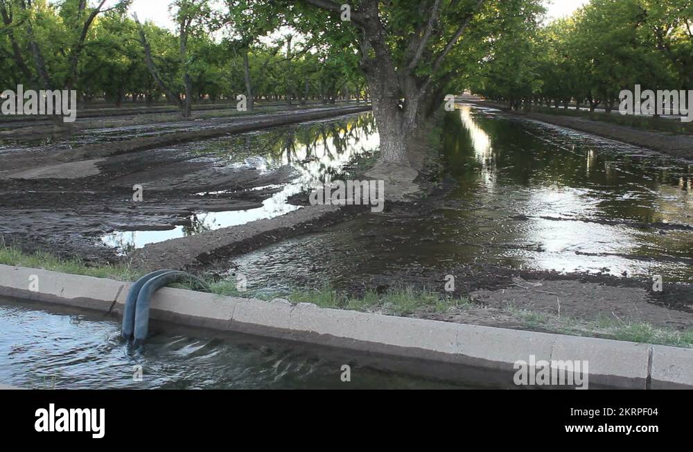 Water channel irrigation Stock Videos & Footage - HD and 4K Video Clips ...