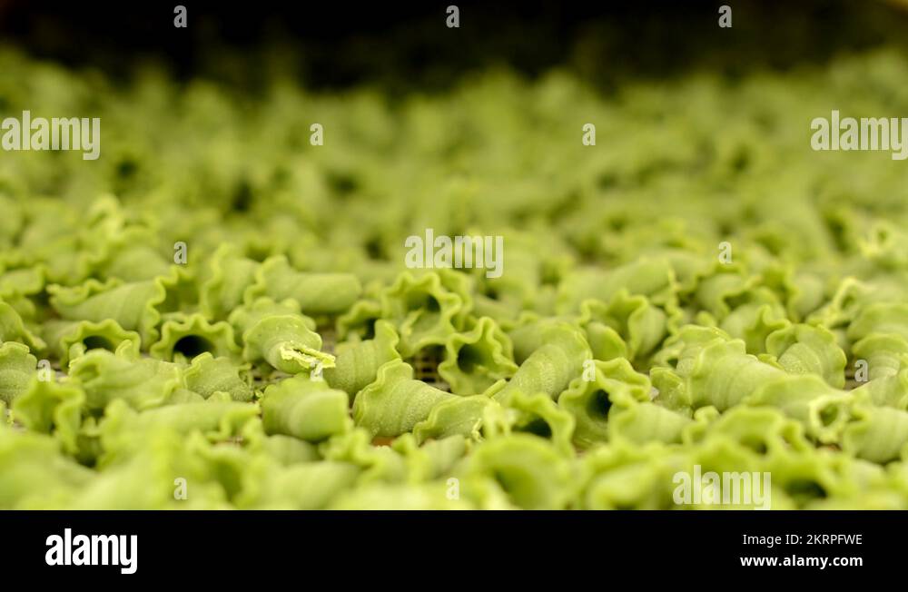 Green racks Stock Videos & Footage - HD and 4K Video Clips - Alamy