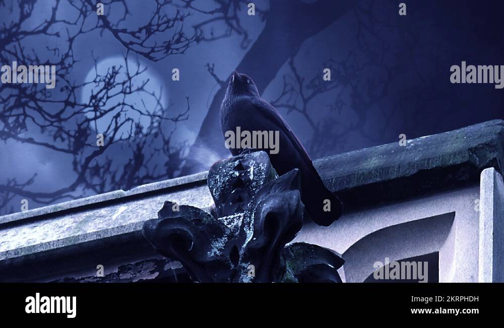 Horror tower Stock Videos & Footage - HD and 4K Video Clips - Alamy