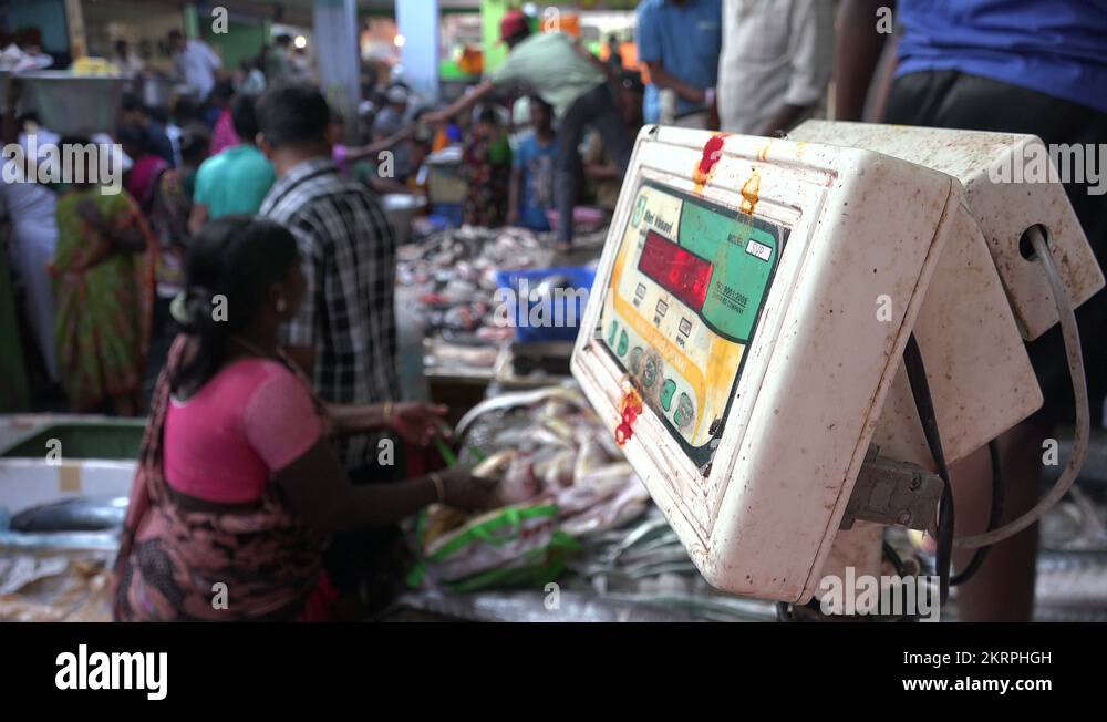 Weighing scale at a busy fish market in Chennai, India Stock Video ...