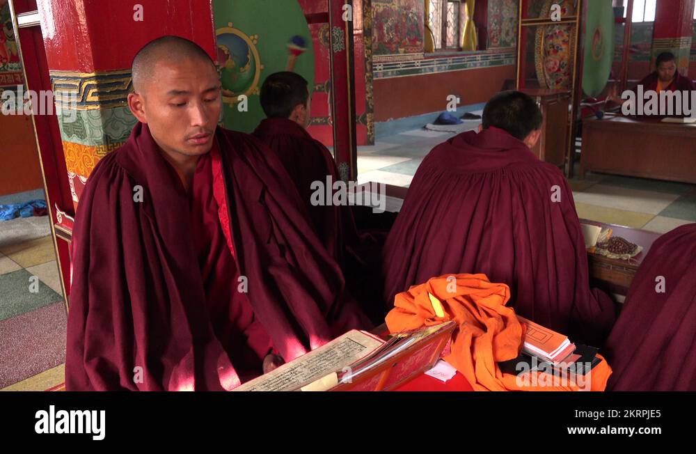 Meditation monastery Stock Videos & Footage - HD and 4K Video Clips - Alamy
