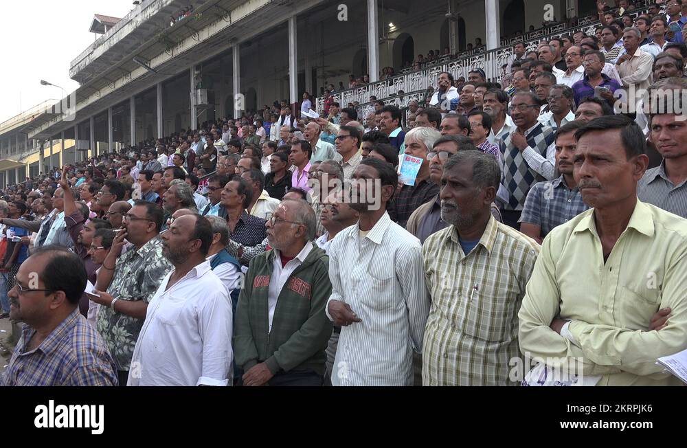 Audience at a horse racing track, spectators, betting, crowd, Kolkata ...