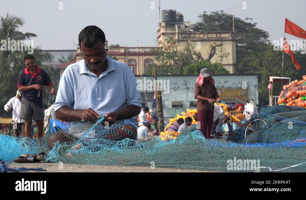 Fishing industry in india Stock Videos & Footage - HD and 4K Video ...