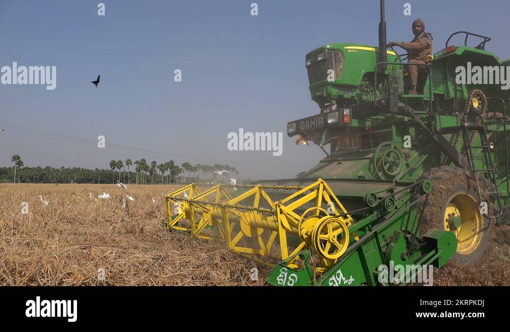 Indian combine harvester Stock Videos & Footage - HD and 4K Video Clips ...