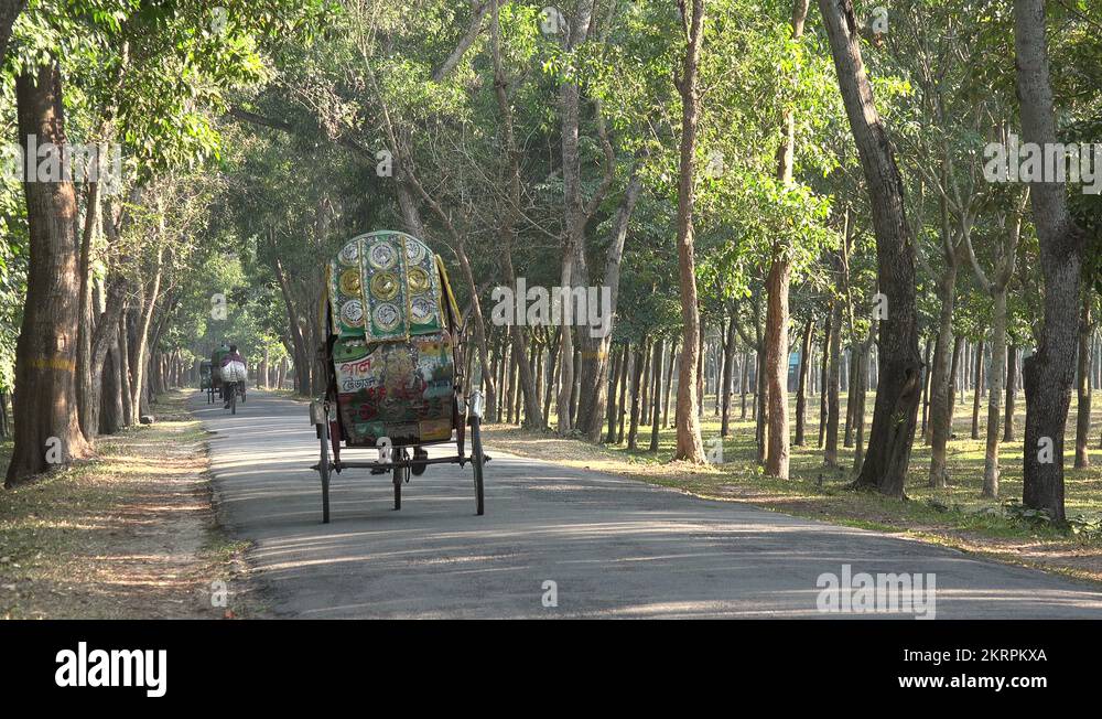 Rickshaw art bangladesh Stock Videos & Footage - HD and 4K Video Clips ...