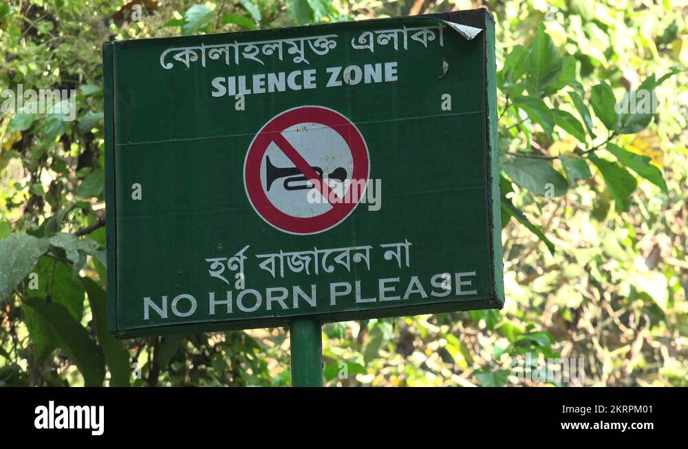 Silence zone Stock Videos & Footage - HD and 4K Video Clips - Alamy