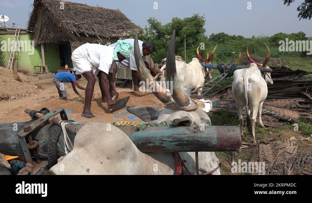 India, construction site in small village, men at work Stock Video ...